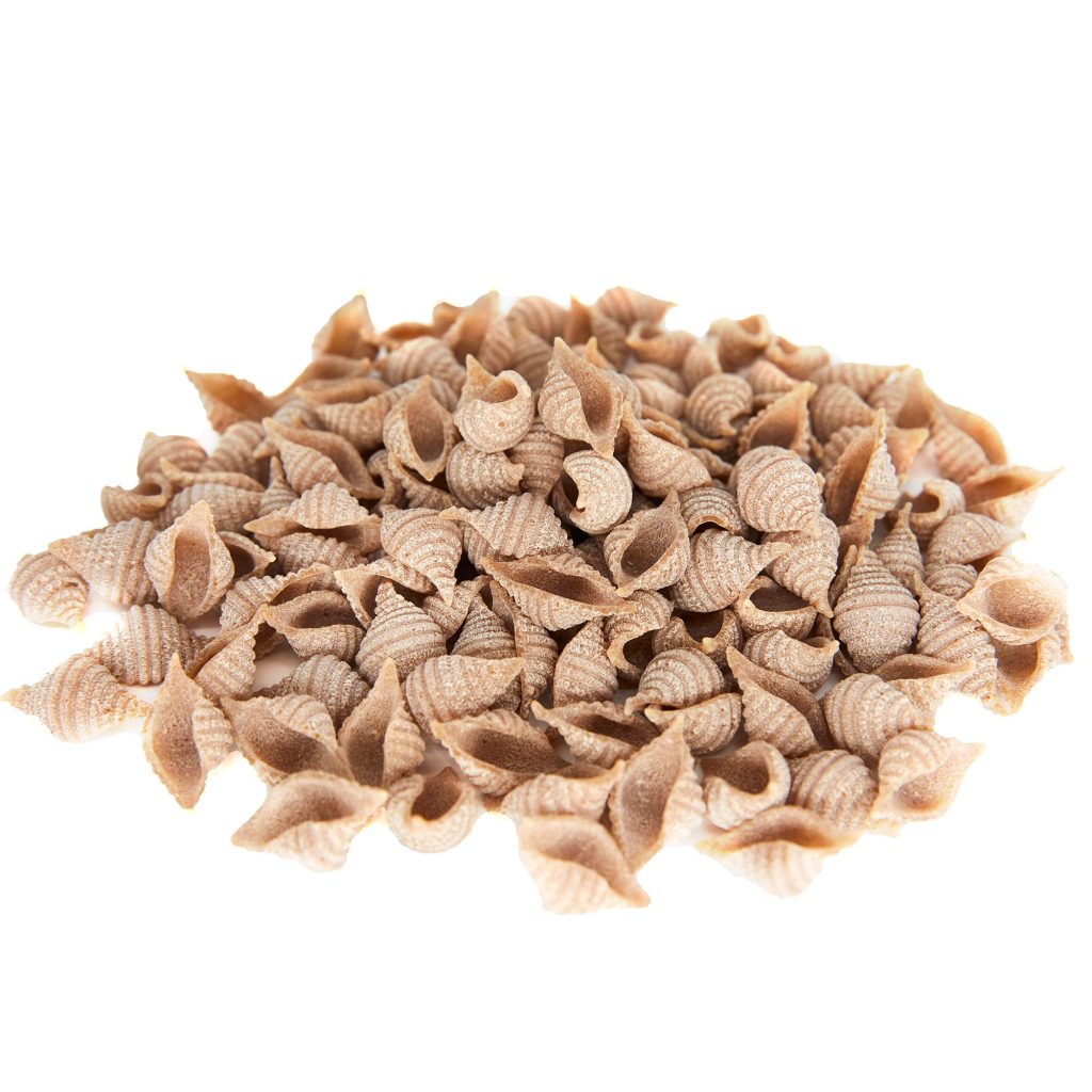 Organic Spelt Conchiglie (4KG) – The Earth & Ocean Food Company®
