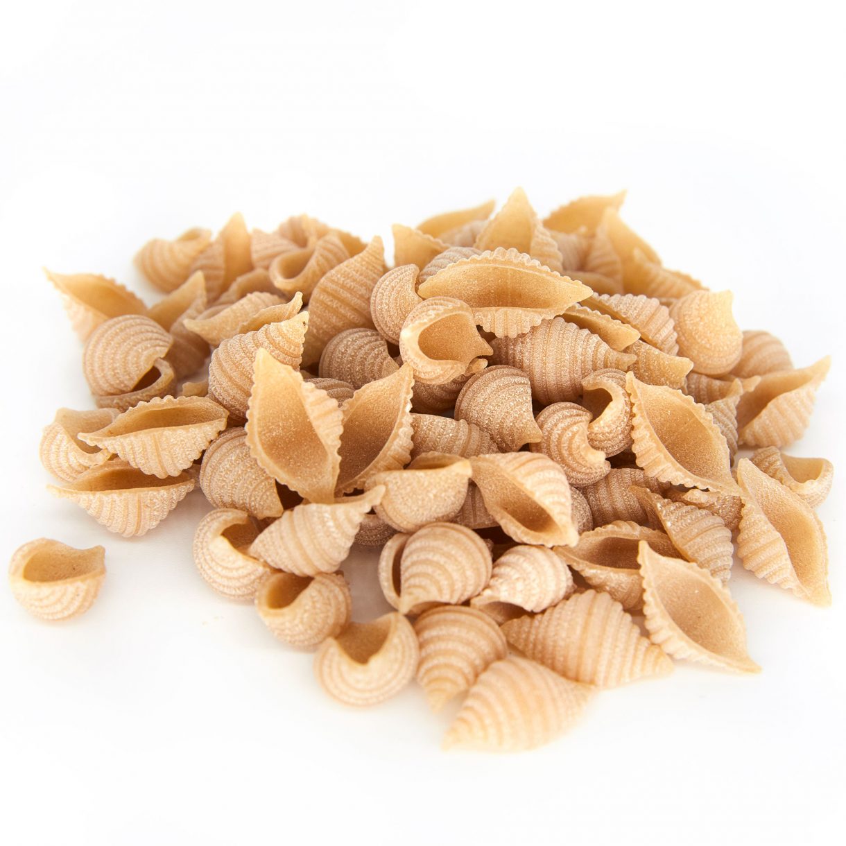 Organic White Spelt Conchiglie (4KG) – The Earth & Ocean Food Company®