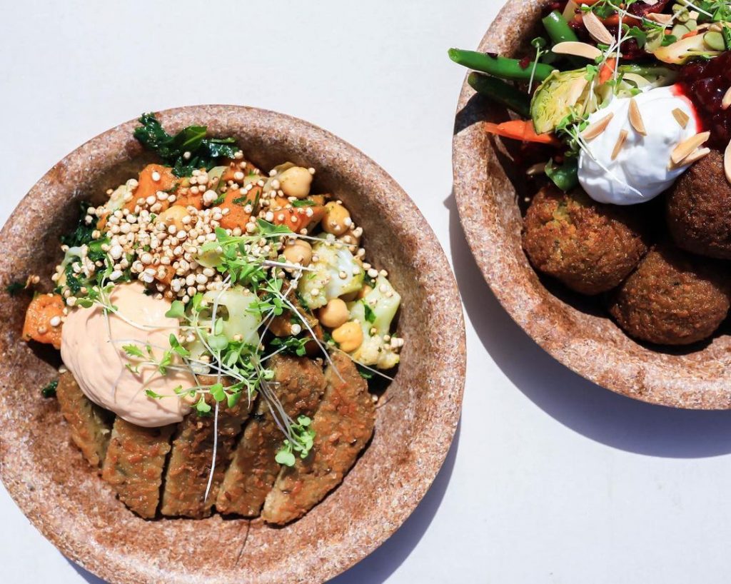 10 Edible Plates (Ø 20cm) – The Earth & Ocean Food Company®