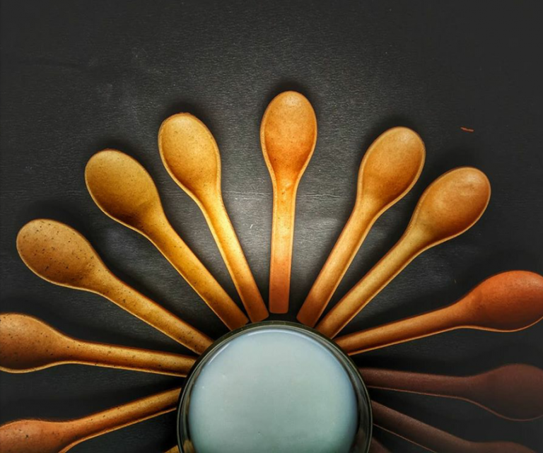 STROODLES – The Earth & Ocean Food Company®